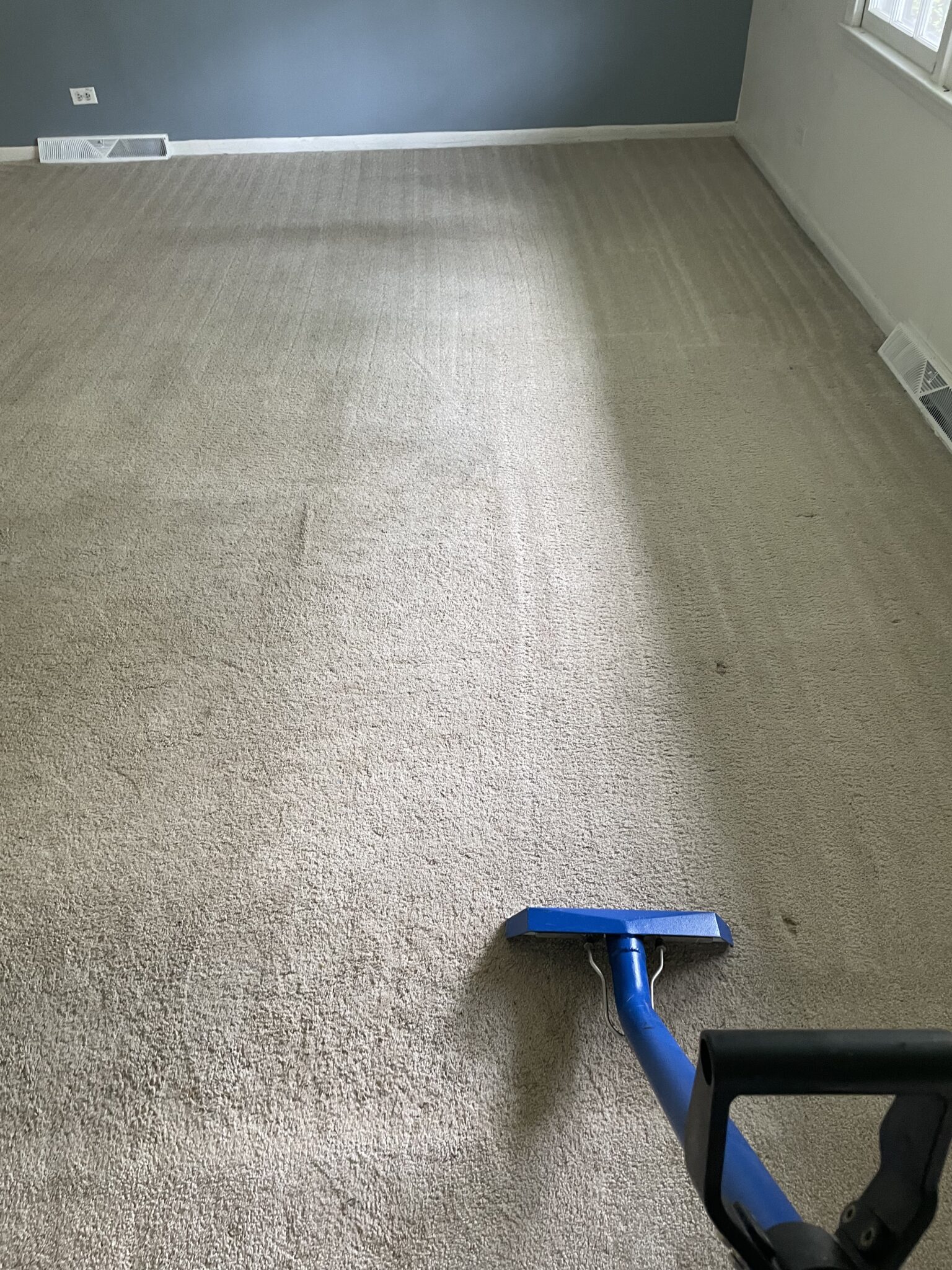 How Often Should Carpets Be Cleaned? A Guide to Keeping Your Floors Fresh